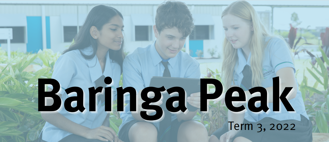 Baringa Peak Term 3
